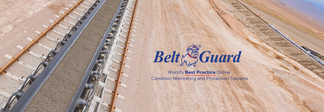 Beltscan Systems